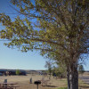 RV Park & Tents | Terry Bison Ranch Resort