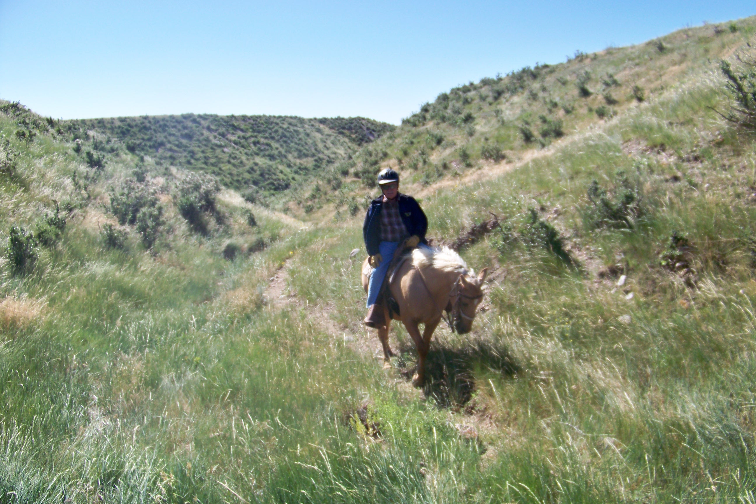 Gallery | Terry Bison Ranch Resort