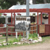 Tombstone Cafe | Terry Bison Ranch Resort