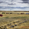 Bison Train Tours | Terry Bison Ranch Resort
