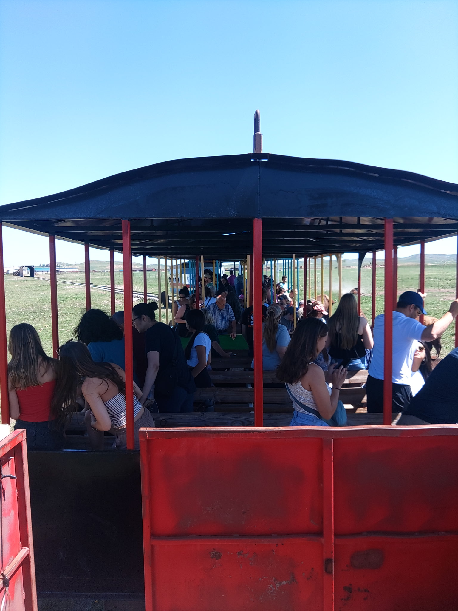 Bison Train Tours | Terry Bison Ranch Resort
